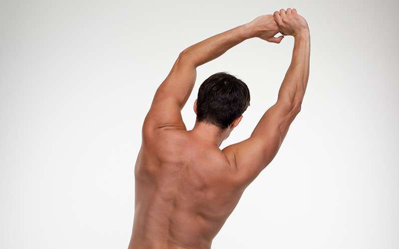 Fibre musculaire : que faut-il savoir ? - BODYHIT